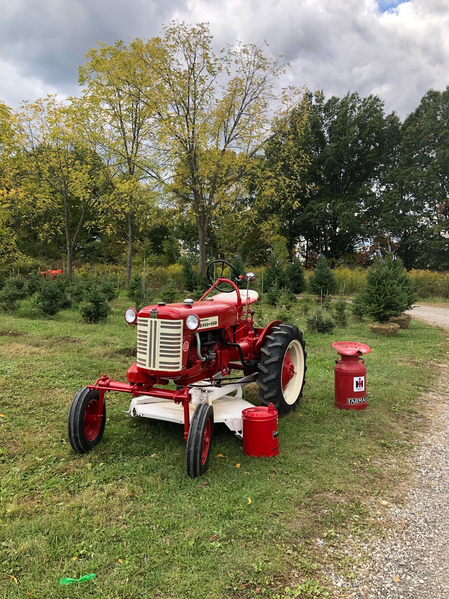 Photography – Pioneer Trails Tree Farm